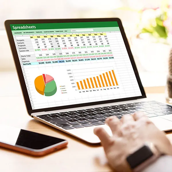 Programa Profesional de Excel | Zegel